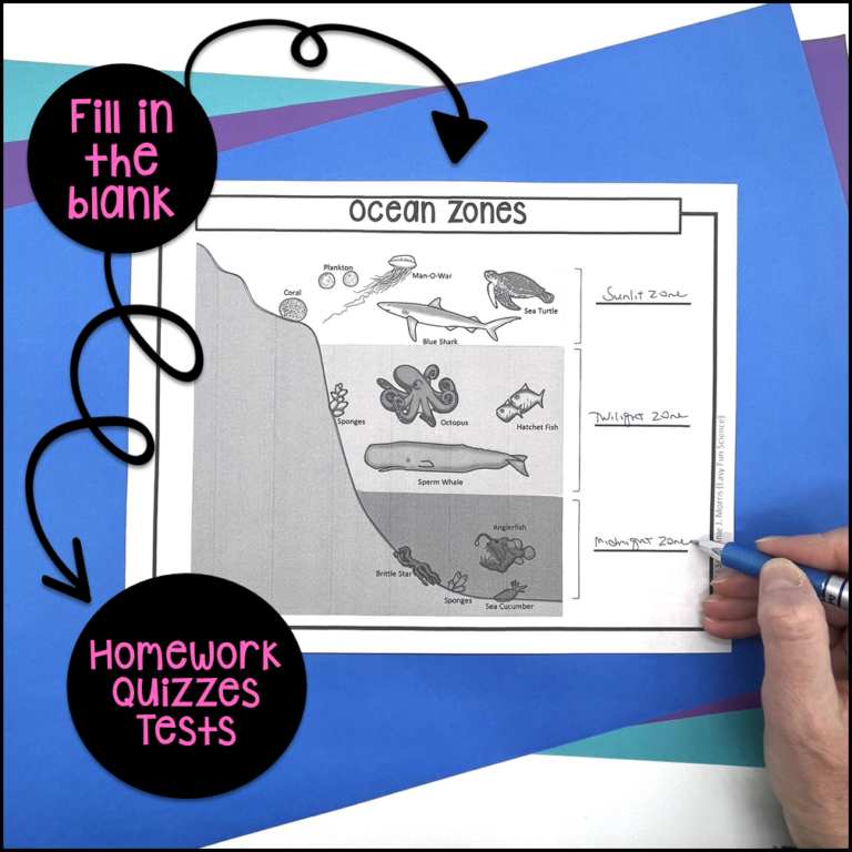 Ocean Zones Diagram | Made By Teachers