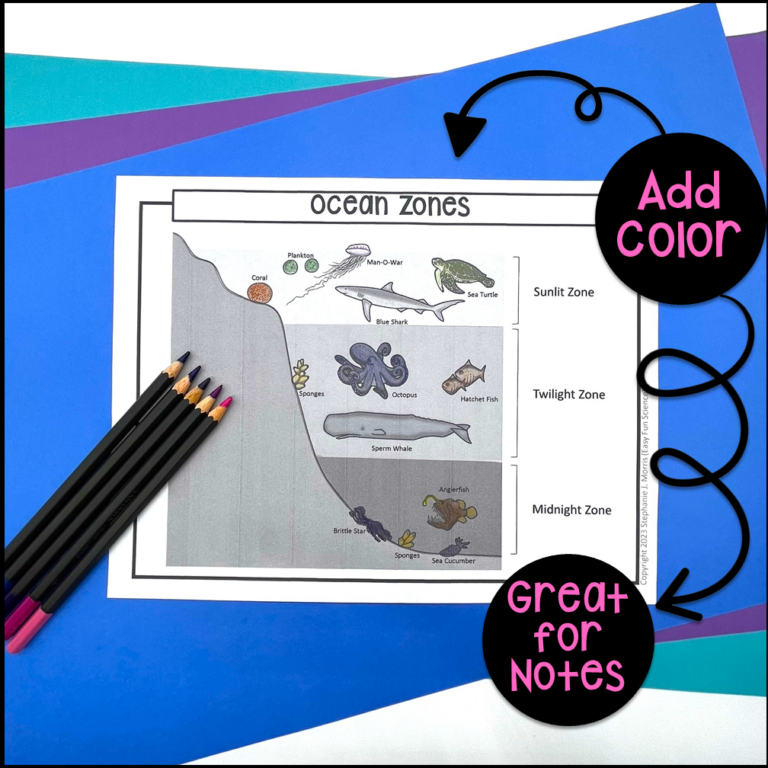 Ocean Zones Diagram | Made By Teachers