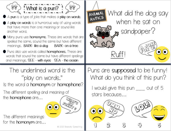 Homophones Homonyms Multiple Meaning Words Activity, Pun of the Week ...