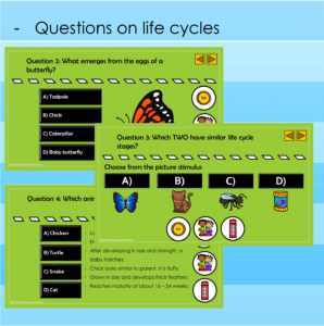 Life Cycles Quiz PowerPoint | Made By Teachers