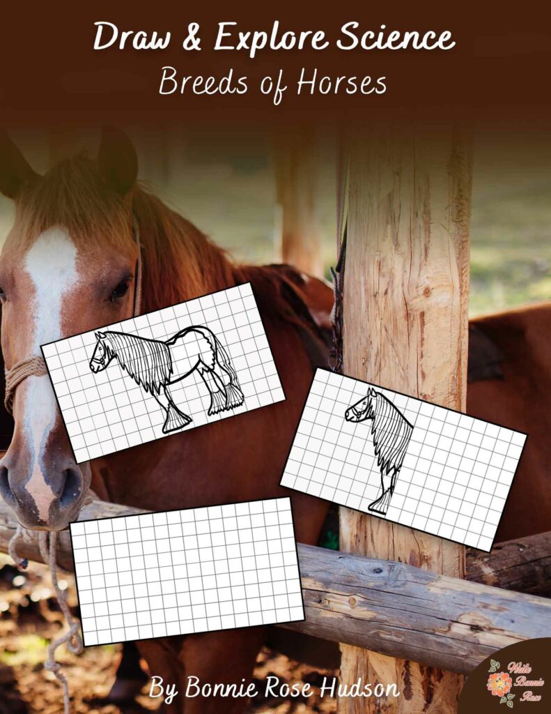 Draw and Explore Science: Breeds of Horses | Made By Teachers