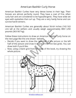 Draw and Explore Science: Breeds of Horses | Made By Teachers