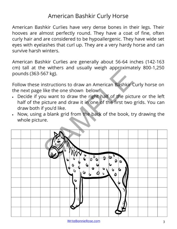Draw and Explore Science: Breeds of Horses | Made By Teachers