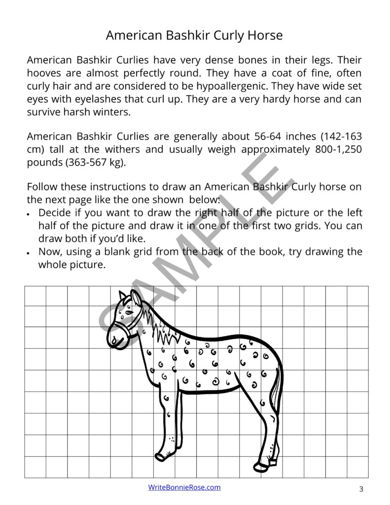 Draw and Explore Science: Breeds of Horses | Made By Teachers