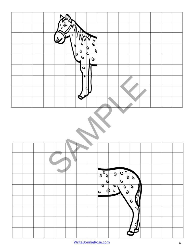 Draw and Explore Science: Breeds of Horses | Made By Teachers