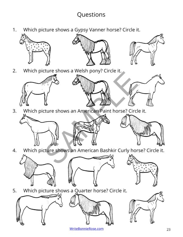 Draw and Explore Science: Breeds of Horses | Made By Teachers