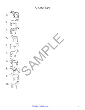 Draw and Explore Science: Breeds of Horses | Made By Teachers