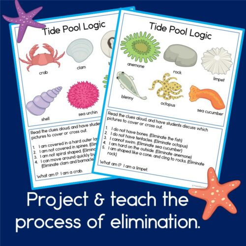 Tide Pool Math Logic Puzzles Critical Thinking | Made By Teachers