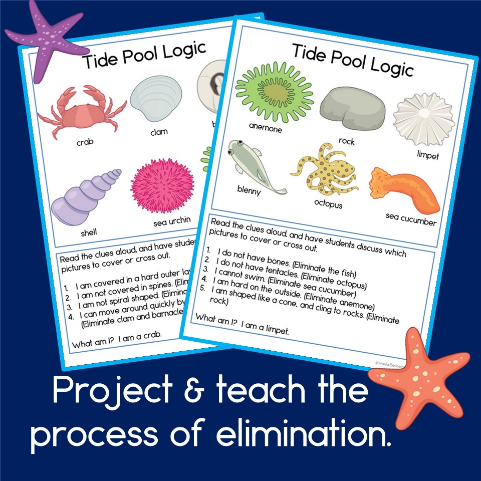 Tide Pool Math Logic Puzzles Critical Thinking | Made By Teachers