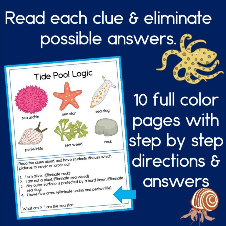 Tide Pool Math Logic Puzzles Critical Thinking | Made By Teachers