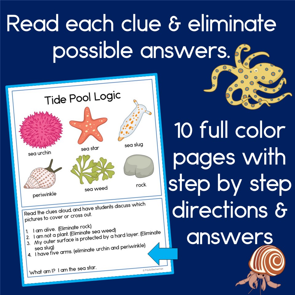 Tide Pool Math Logic Puzzles Critical Thinking | Made By Teachers