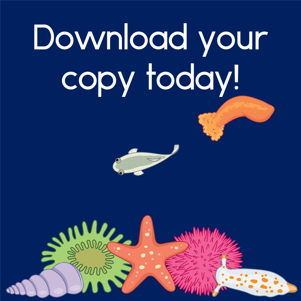 Tide Pool Math Logic Puzzles Critical Thinking | Made By Teachers