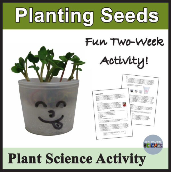 Seed Plant Activity Experiment Germination of Seeds Chia | Made By Teachers