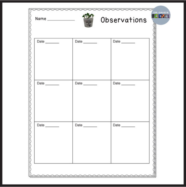 Seed Plant Activity Experiment Germination of Seeds Chia | Made By Teachers