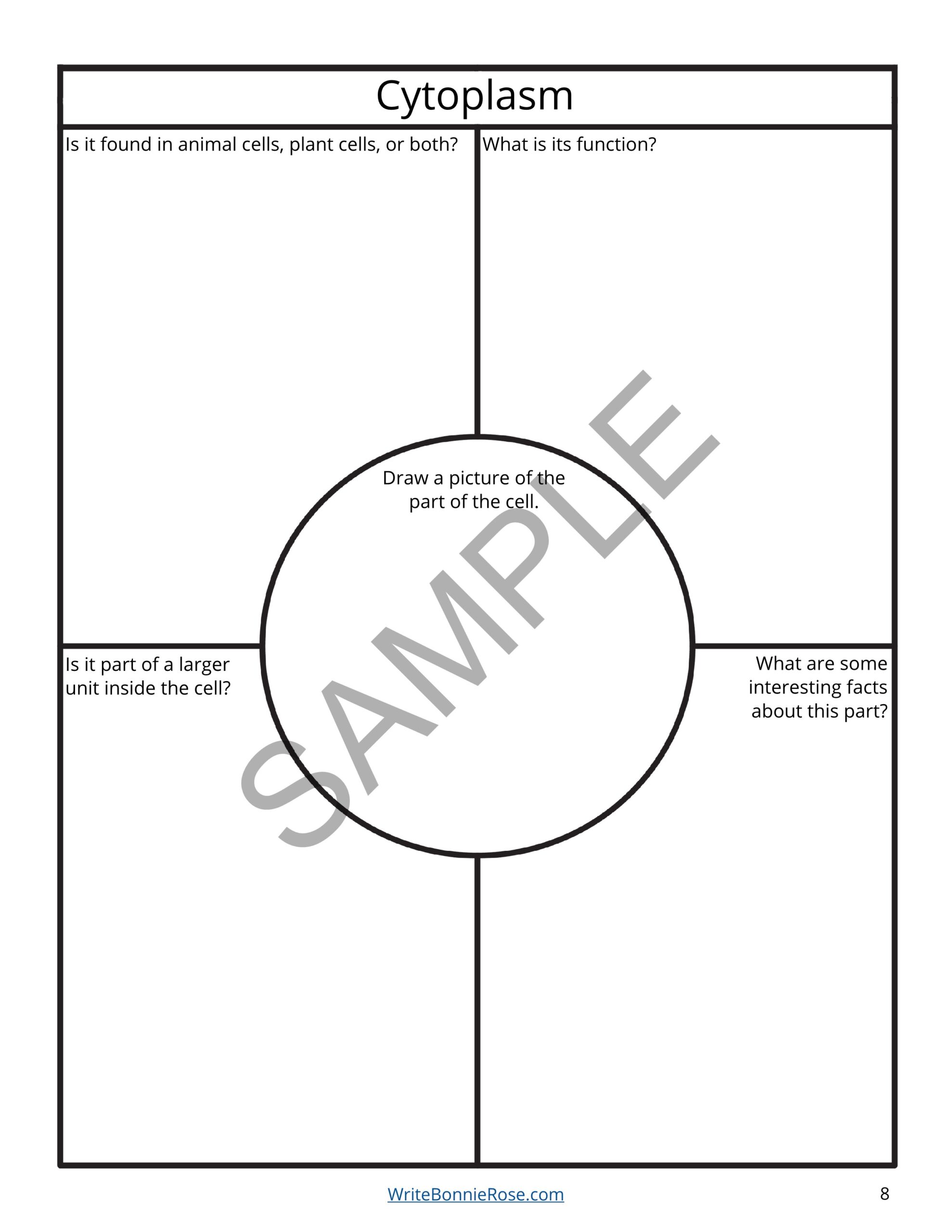 Animal and Plant Cells Notebooking Journal | Made By Teachers