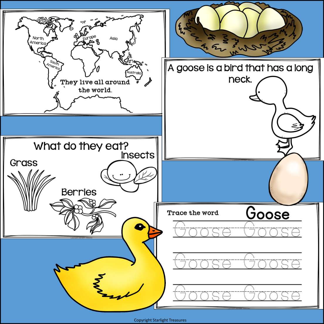 Goose Mini Book for Early Readers - Animal Study, Geese, Goose | Made ...
