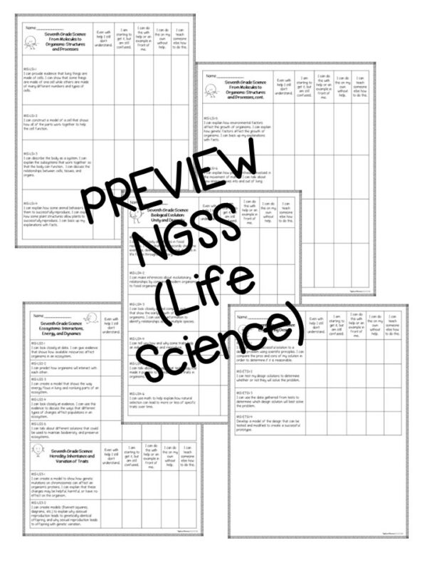 Seventh Grade Standards Checklist | Made By Teachers