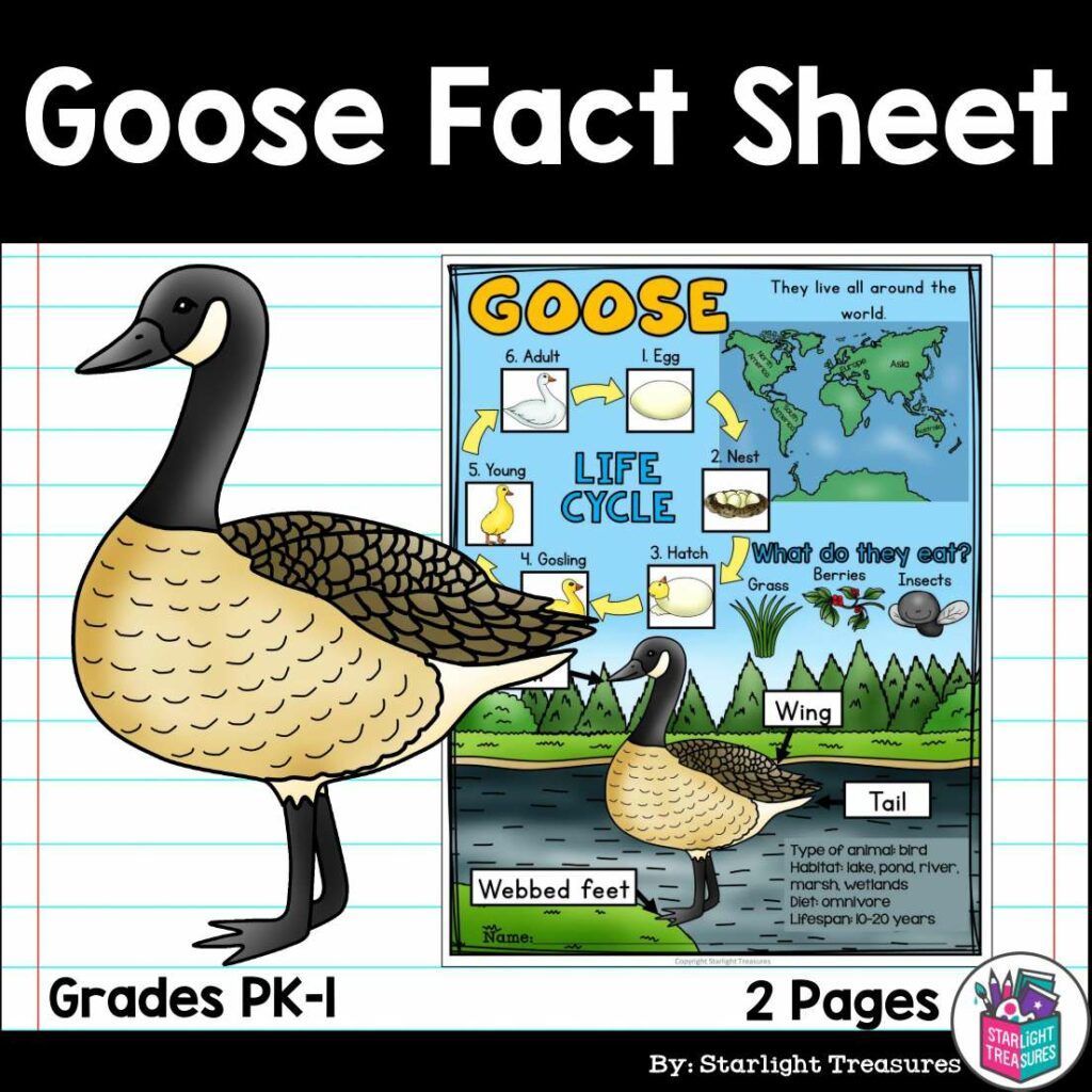 Goose Fact Sheets for Early Readers - Animal Study, Geese | Made By ...
