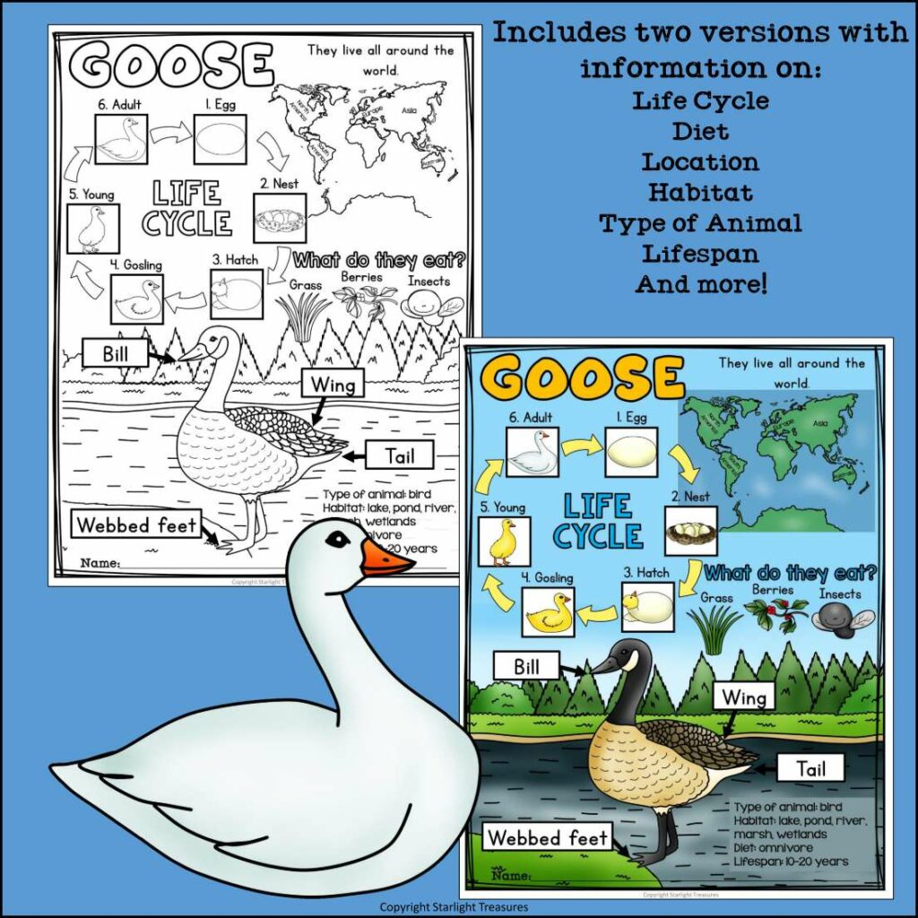 Goose Fact Sheets for Early Readers - Animal Study, Geese | Made By ...