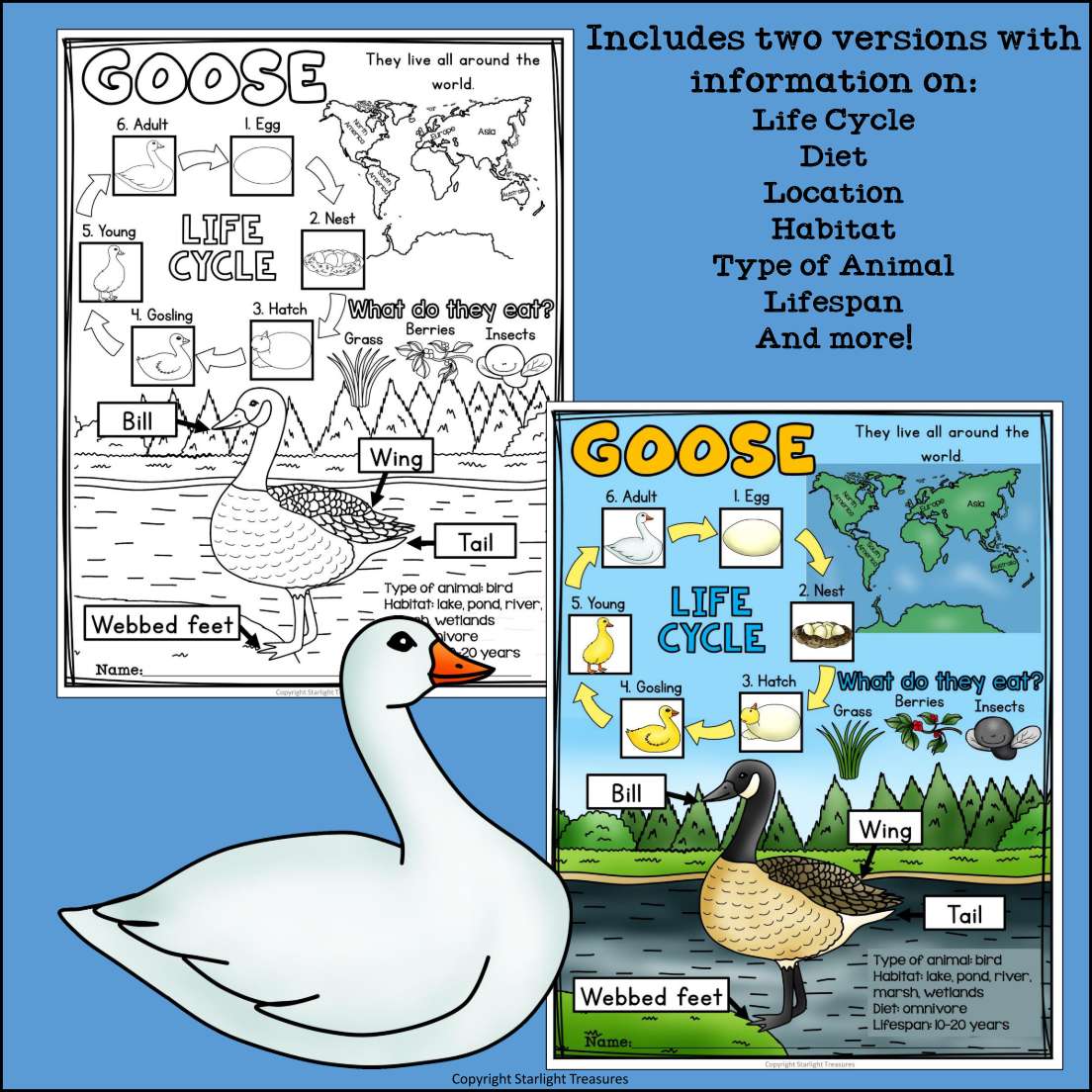 Goose Fact Sheets for Early Readers - Animal Study, Geese | Made By ...