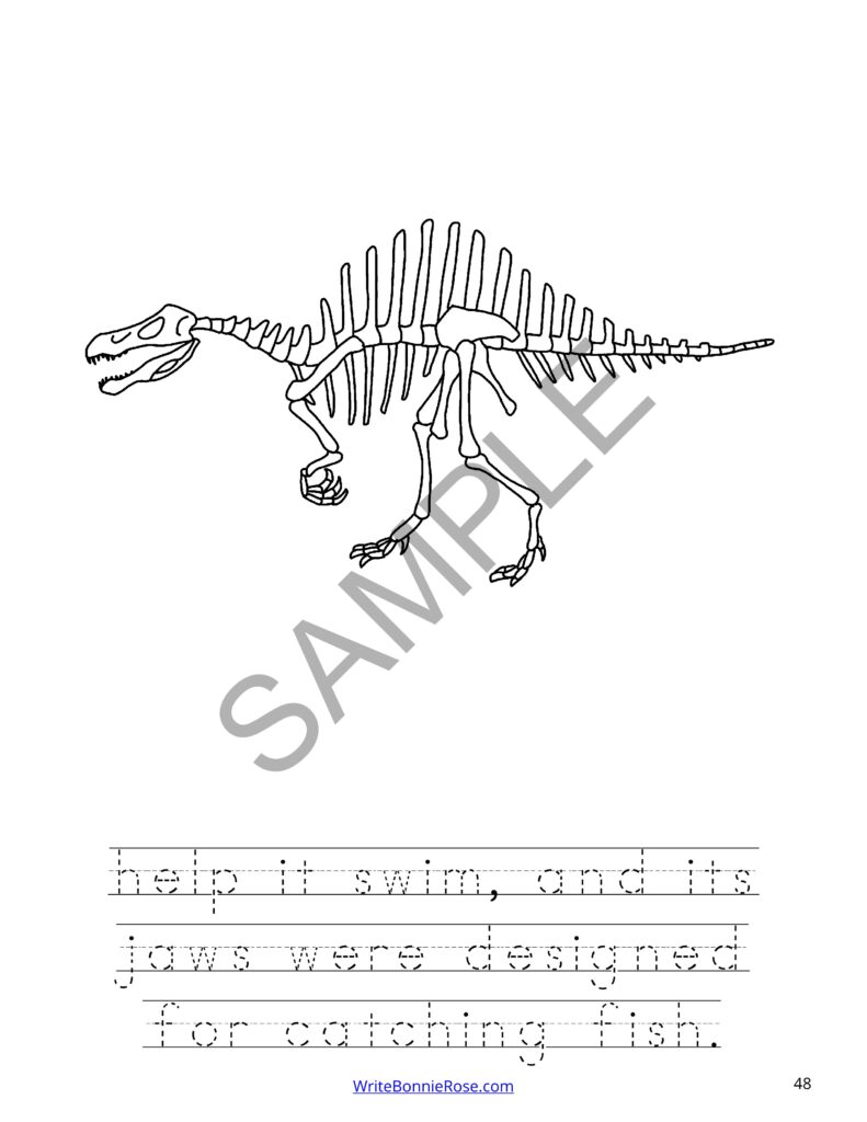 Learning About Dinosaurs Coloring Book-Level B | Made By Teachers