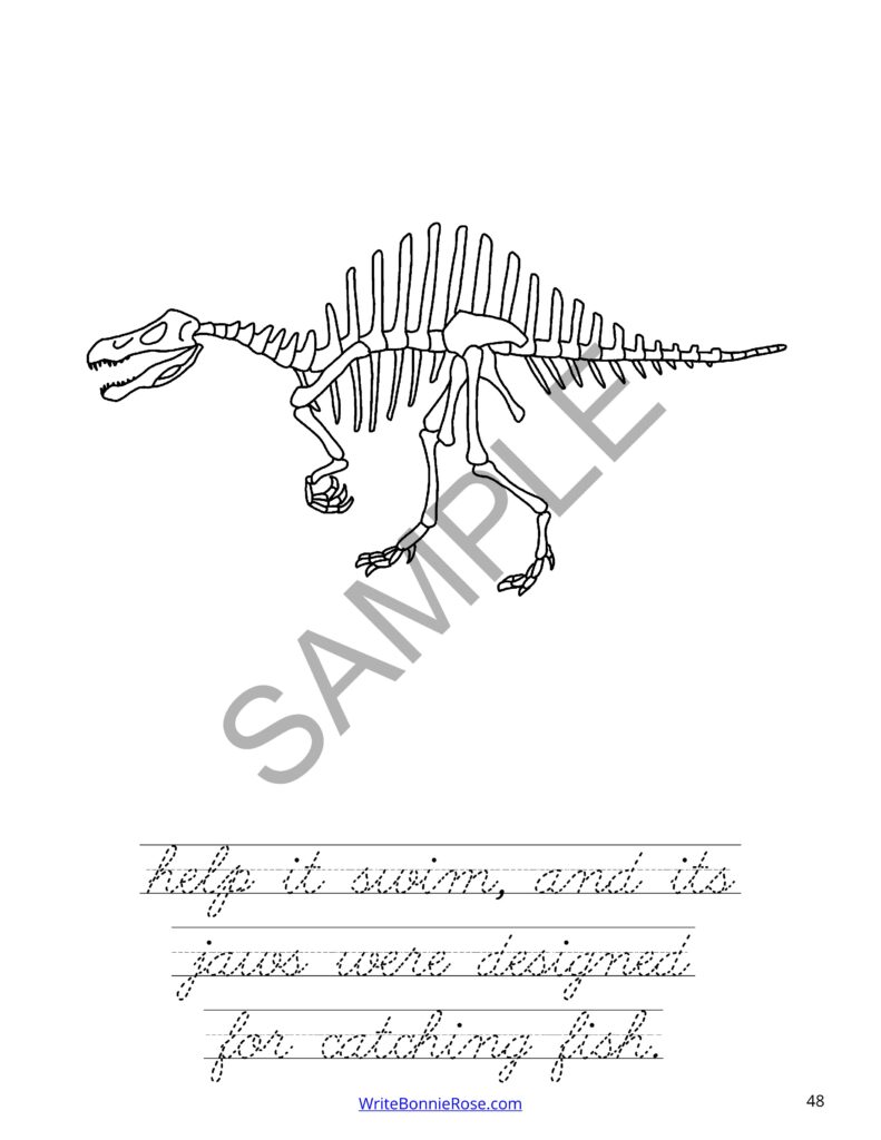 Learning About Dinosaurs Coloring Book-Level C | Made By Teachers