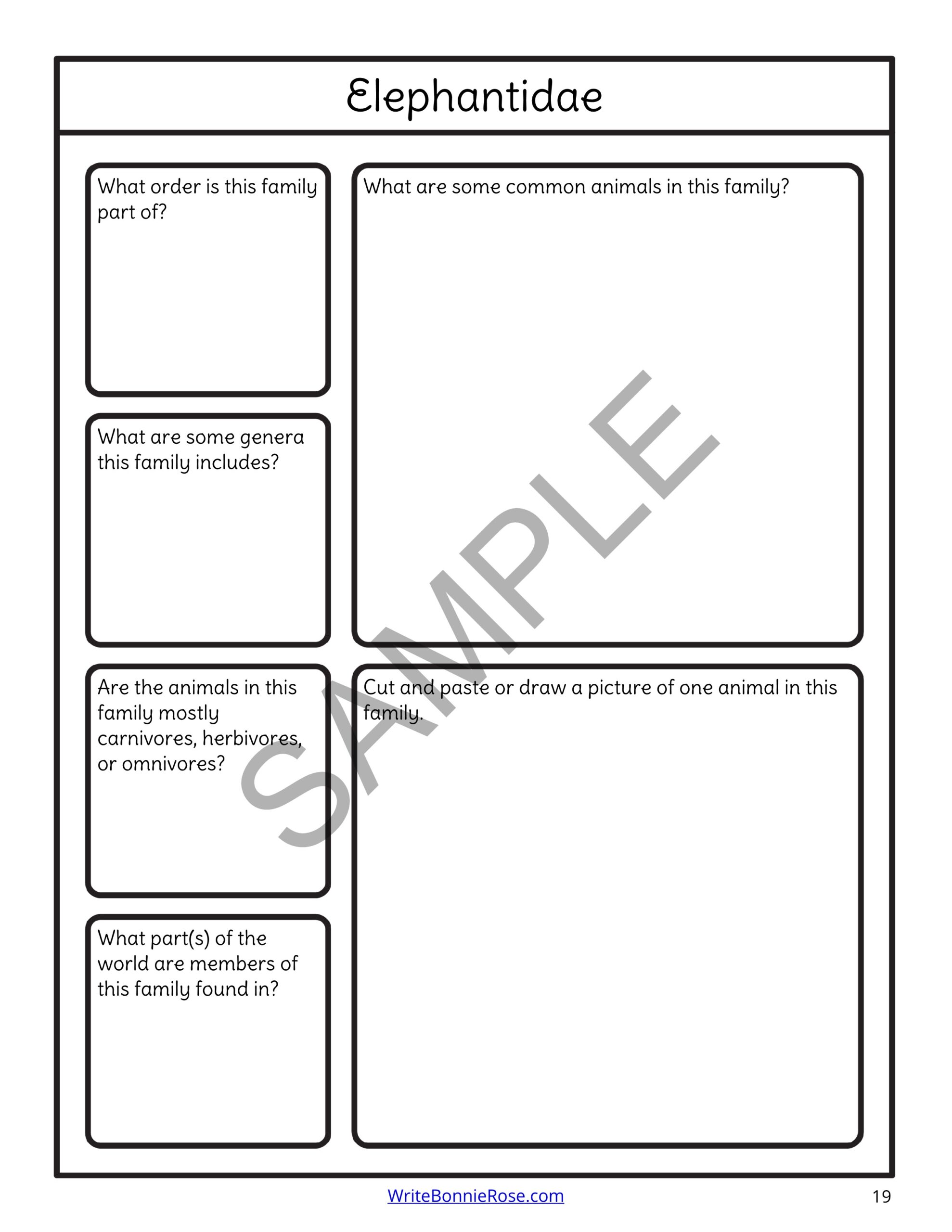 Animal Families Notebooking Journal | Made By Teachers