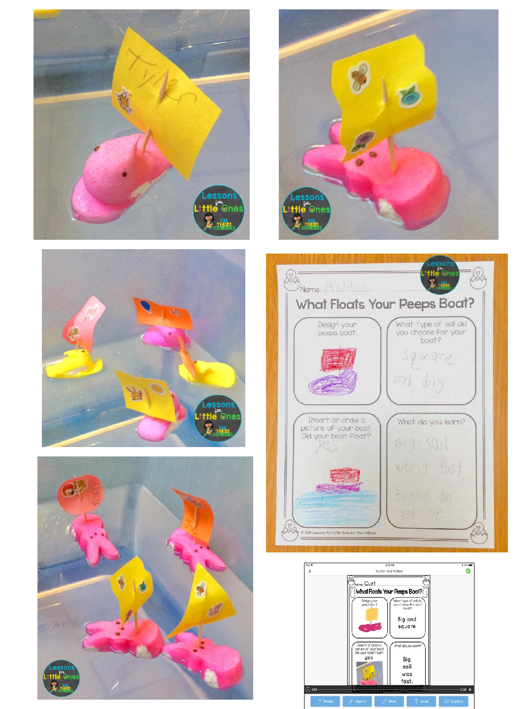 Easter Science Experiments & STEM Challenges Activities Print & Digital ...