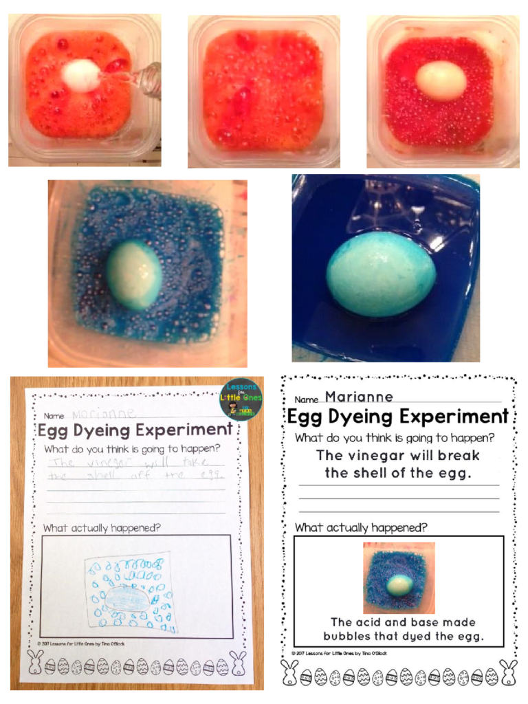 Easter Science Experiments & STEM Challenges Activities Print & Digital Pages | Made By Teachers