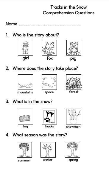 Book Companion - Tracks in the Snow | Made By Teachers