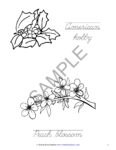 Exploring the United States Coloring Book with Cursive Copywork, Volume ...