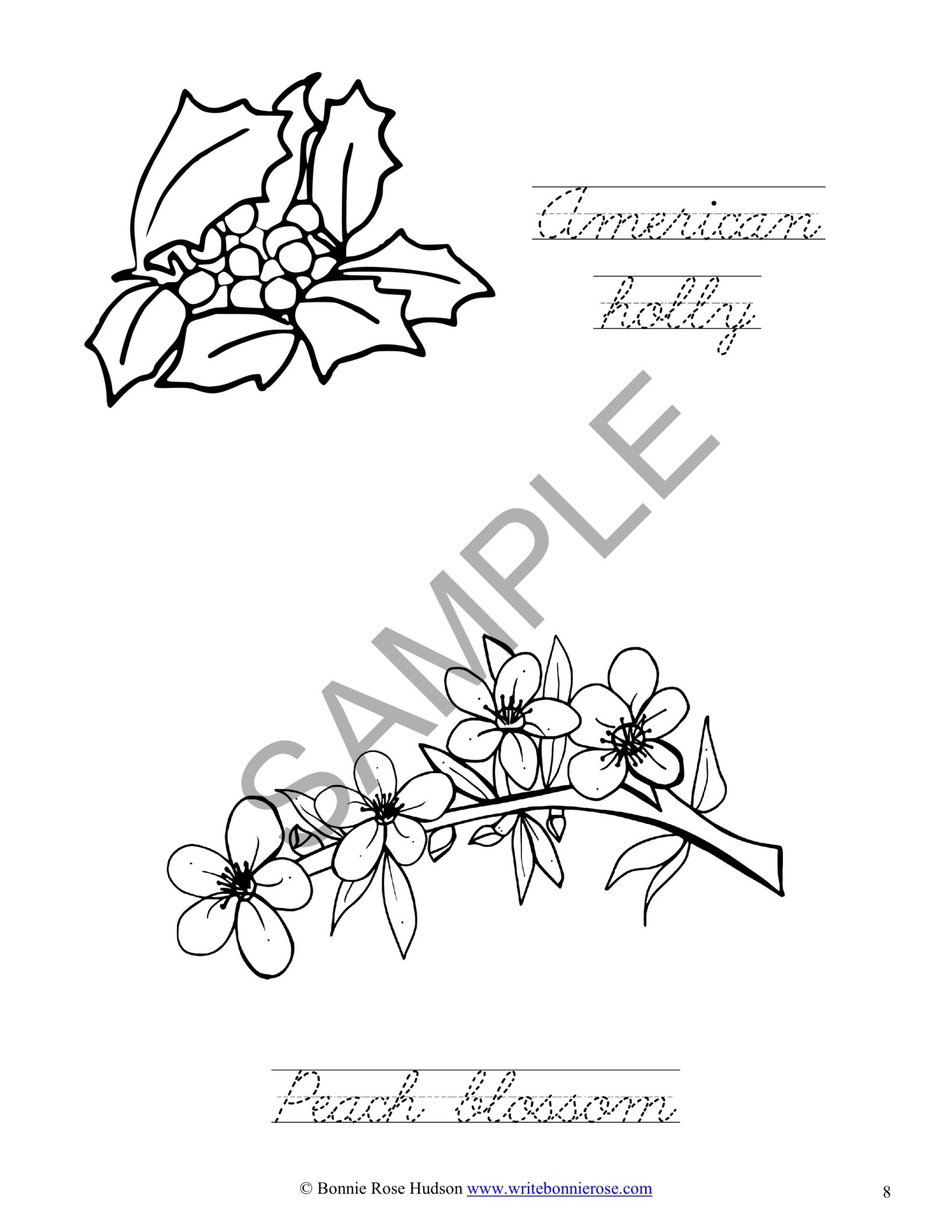 Exploring the United States Coloring Book with Cursive Copywork, Volume ...
