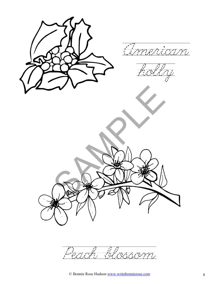 Exploring the United States Coloring Book with Cursive Copywork, Volume ...