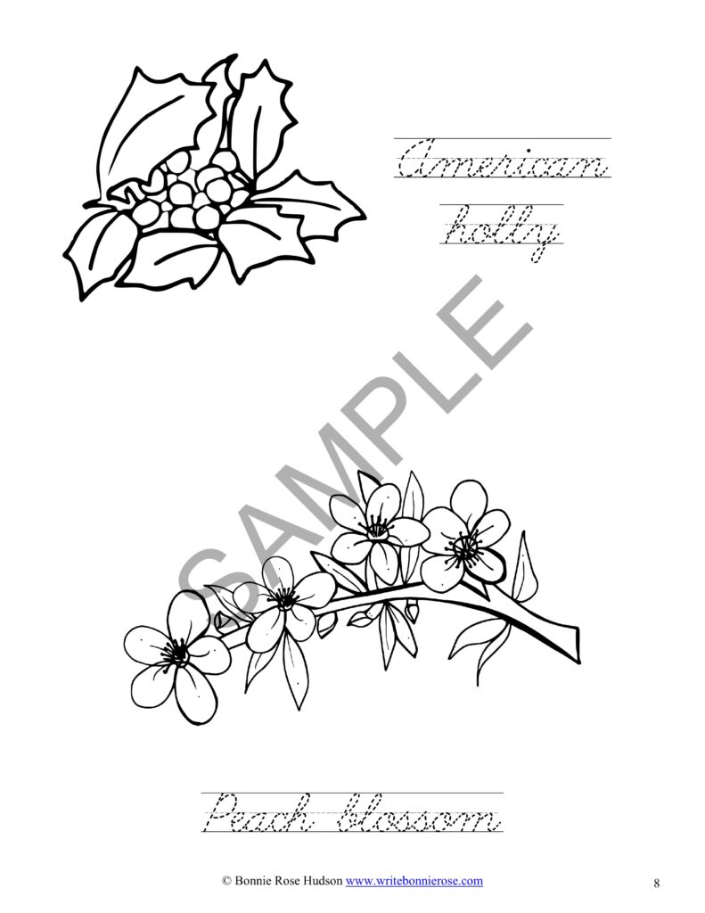Exploring the United States Coloring Book with Cursive Copywork, Volume ...