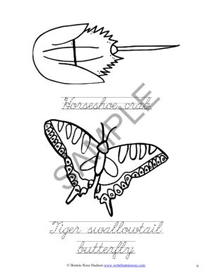 Exploring the United States Coloring Book with Cursive Copywork, Volume ...