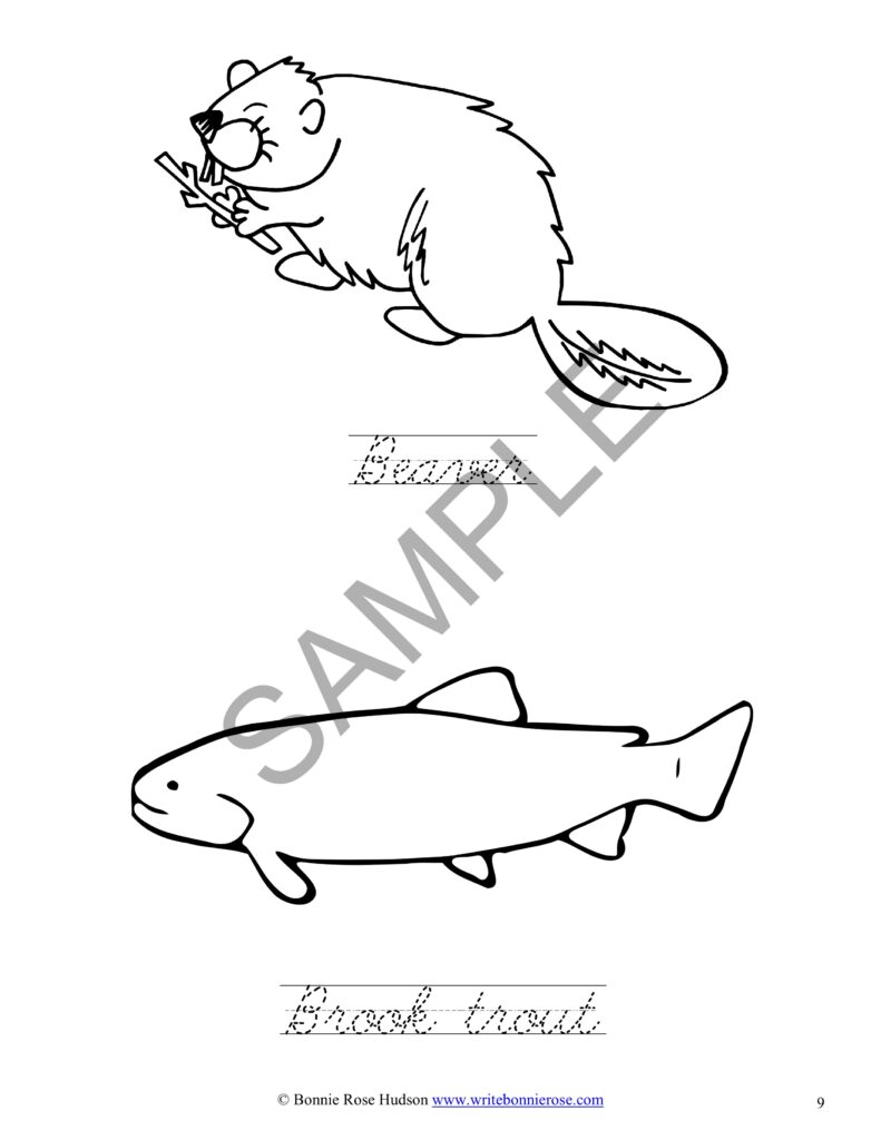 Exploring the United States Coloring Book with Cursive Copywork, Volume ...