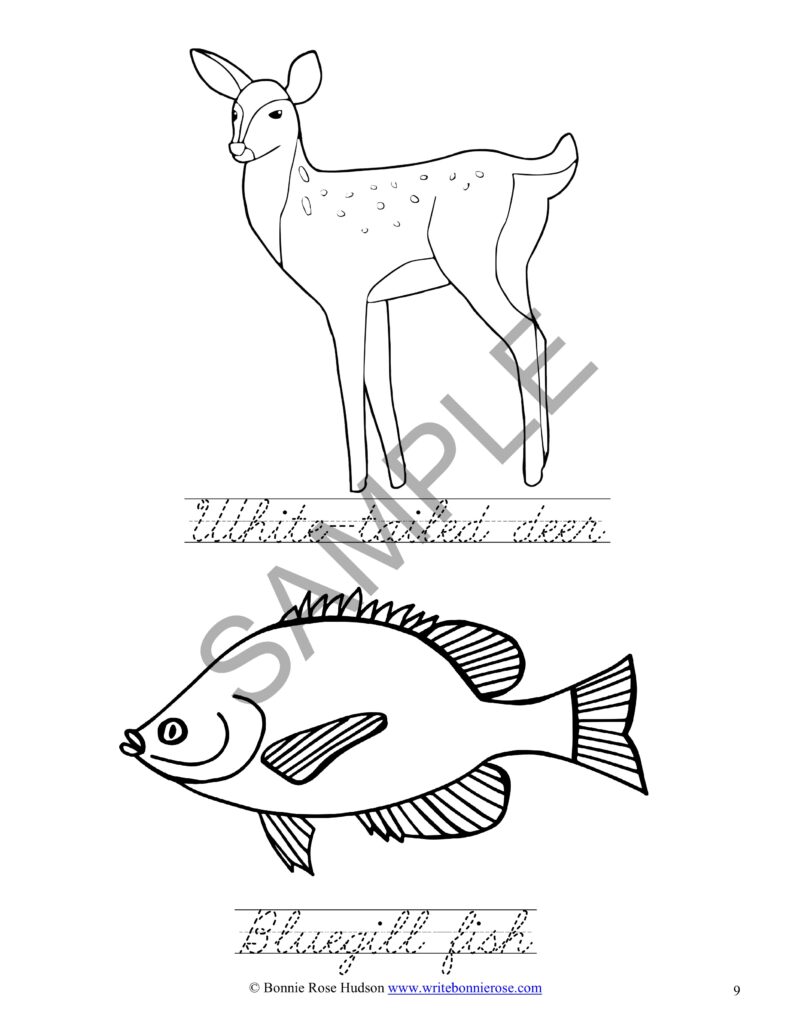 Exploring the United States Coloring Book with Cursive Copywork, Volume ...