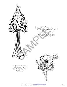 Exploring the United States Coloring Book with Cursive Copywork, Volume ...