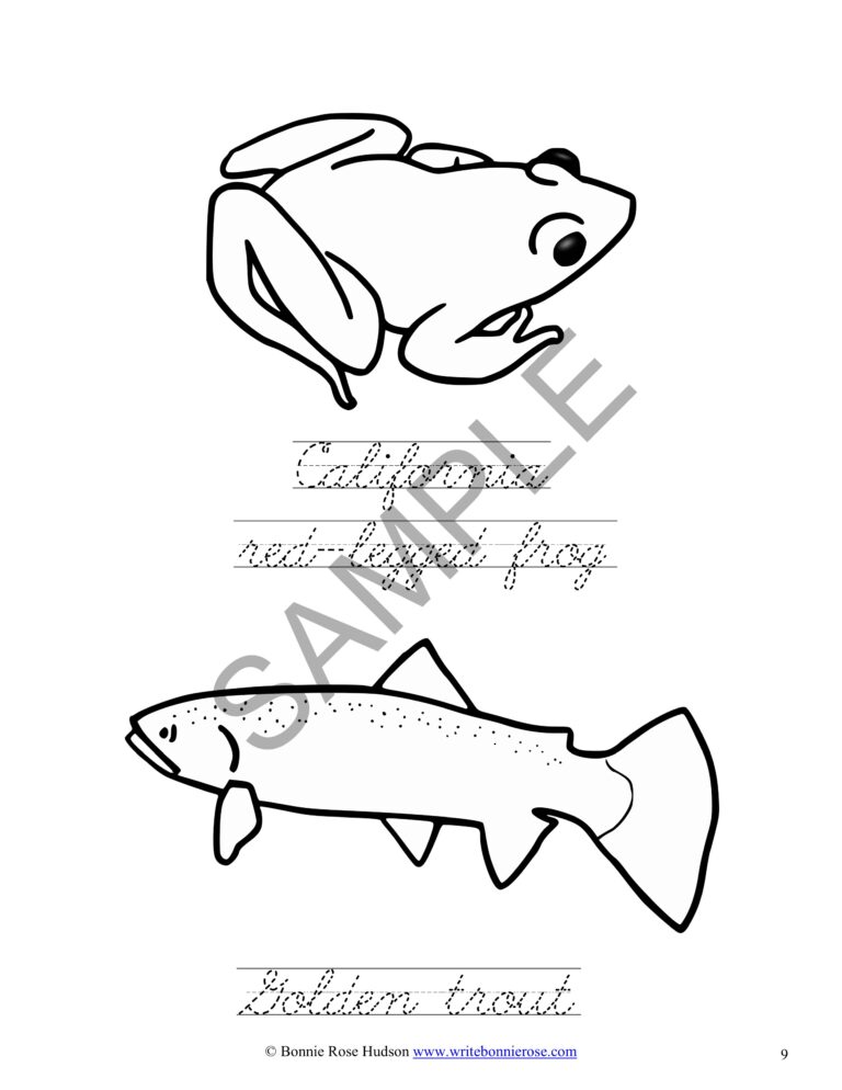 Exploring the United States Coloring Book with Cursive Copywork, Volume ...