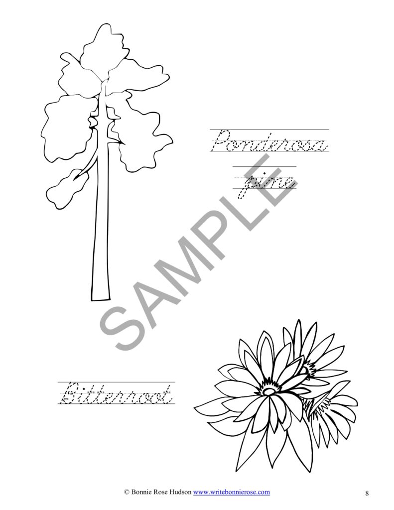 Exploring the United States Coloring Book with Cursive Copywork, Volume ...