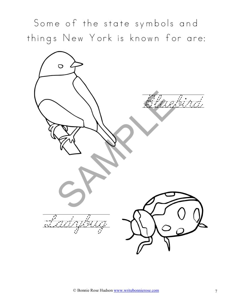 Exploring the United States Coloring Book with Cursive Copywork Bundle ...