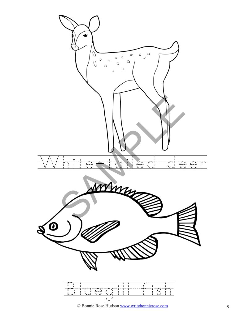 Exploring the United States Coloring Book with Print Copywork, Volume 3 ...