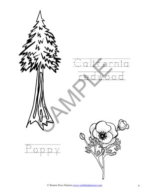 Exploring the United States Coloring Book with Print Copywork, Volume 4 ...