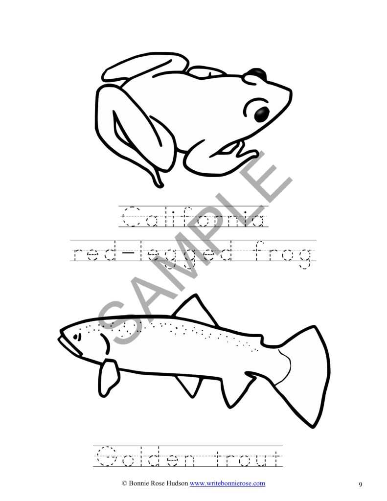 Exploring the United States Coloring Book with Print Copywork, Volume 4 ...