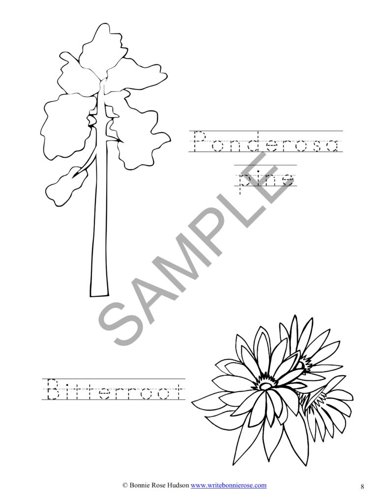 Exploring the United States Coloring Book with Print Copywork, Volume 5 ...