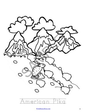 Mountain Animals Facts Color & Copy | Made By Teachers