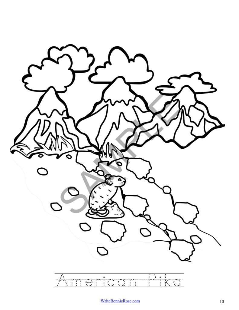 Mountain Animals Facts Color & Copy | Made By Teachers