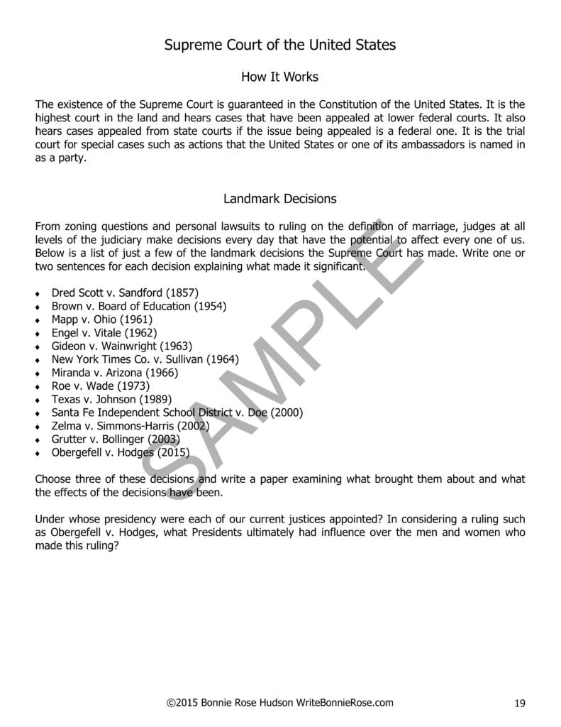 Does Every Vote Count? Unit Study | Made By Teachers