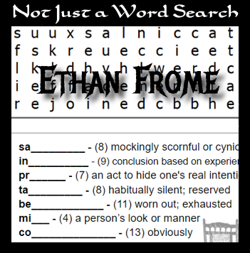 ETHAN FROME - Prereading Vocabulary Puzzle, Quiz, Test, Review - NO ...