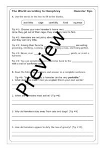 Betty G. Birney "The World according to Humphrey" worksheets | Made By ...